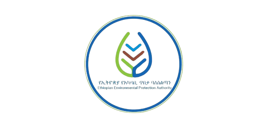 Mindset Solutions – Official Website